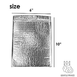 Gentle Prince Insulated Easy Zip Lock Resealable Aluminum Sandwich Bag with ice pack - Reusable Thermal Snack Bento Camping Picnic Hot & Cold Pouch (Sliver, 5)
