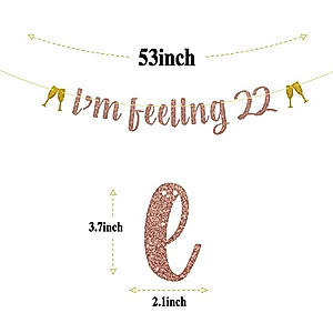 Rose Gold Glitter I'm Feeling 22 Banner, Happy 22nd Birthday Banner, 22nd Birthday Decorations, 22nd Birthday Party Supplies