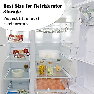 BSTKEY 12 inch Round Pizza Keeper, Food Storage Container with Lid and Handle, Pizza Dough Tray Fits 2-4 Dough Balls, Clear Plastic Food Storage Carrier for Cheese Cake Cupcakes Pies Pastries Fruit