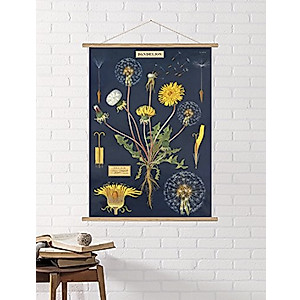 Cavallini Papers & Co. Cavallini Vintage Dandelion Hanging Poster Kit, Multi