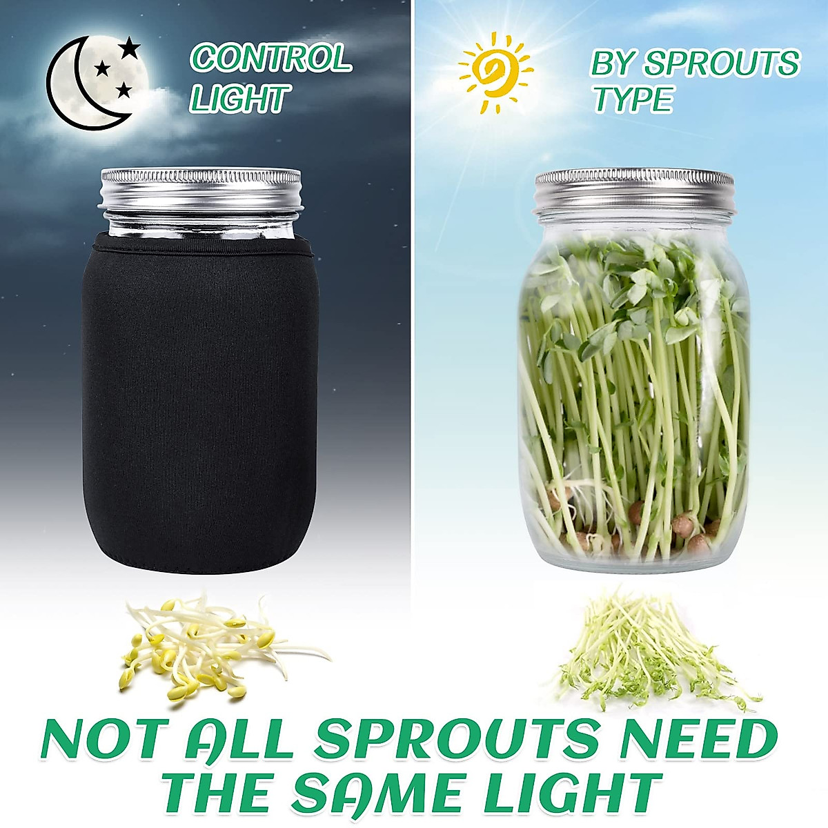 Seed Sprouting Jar Kit with 2 Wide Mouth Mason Jars Bean Sprouts Growing Kit Microgreens Growing Jar with Mesh Screen Lids Sprouter Sprouts Maker for Growing Broccoli, Alfalfa, Mung Bean