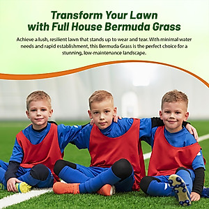 Outsidepride Full House Bermuda Grass Seed Mix - 2 lbs. Premium Warm Season Turf Blend of Traffic & Drought-Tolerant Monaco & Hollywood Bermuda Grass Seeds for Lawn, Golf Courses & Fairways