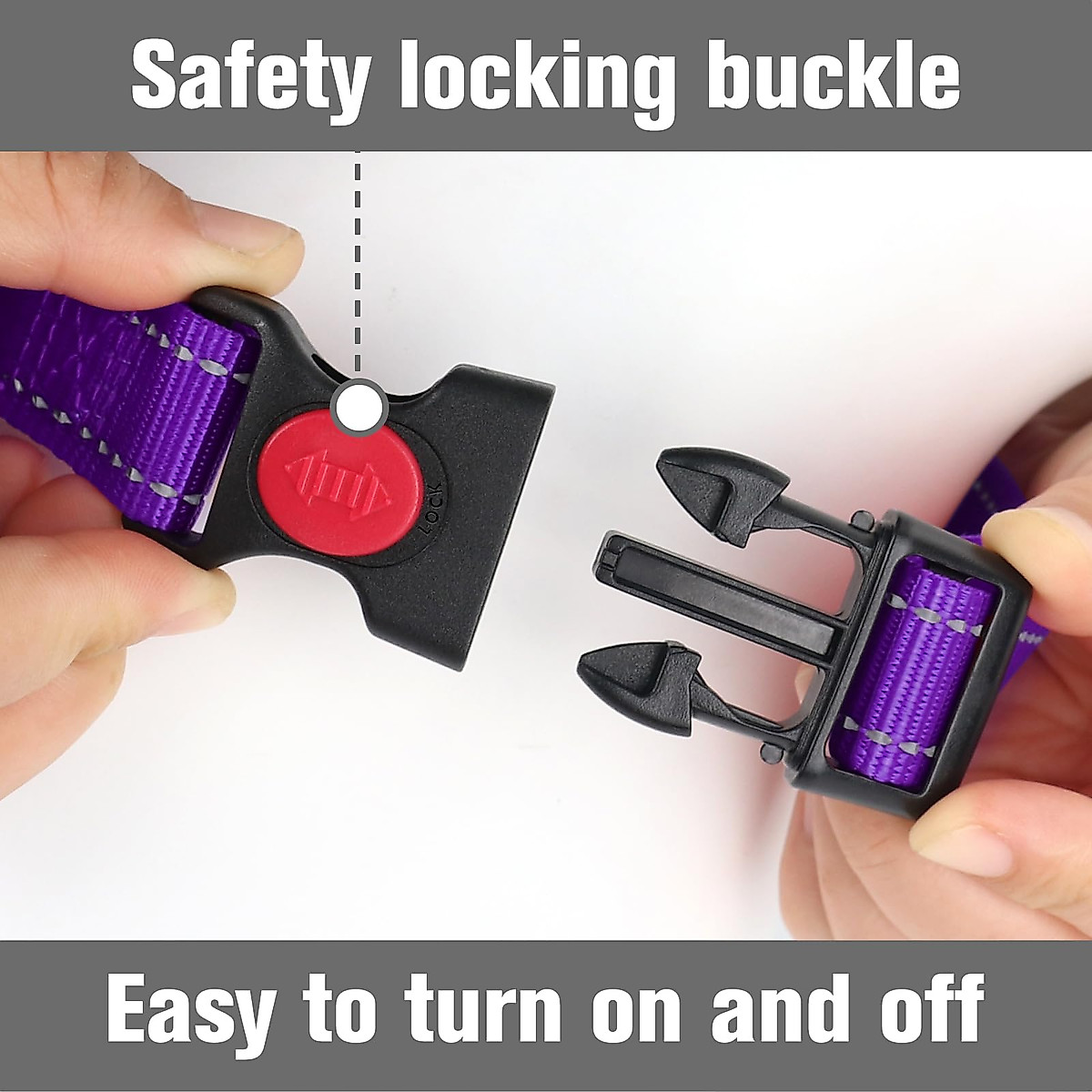 Joytale Martingale Collar for Dogs, Reflective Heavy Duty Dog Collar for Safety, Quick Release Buckle, Adjustable Nylon Collars for Medium Dogs Walking Training, Purple,M