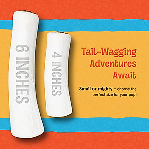 FETCHERONI Variety Pack Stuffed Dog Bones (Flavors: Bacon & Cheese, Peanut Butter, and Beef) - 3-4 Inch Long Dog Treats - Natural Stuffed Dental Dog Bone Treats for Dogs - 5 Pack