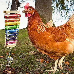 Chicken Swing Toys and Chicken Toys Xylophone, 2 Pack Chicken Toys for Poultry Run Rooster Hens Chicks Pet Parrots Macaw Entertainment Stress Relief for Birds