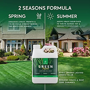 Green Organic Fertilizer - Grass Fertilizer for Greener Color & Sustained Growth, Lawn Food That Conditions & Nourishes Soil, No Harsh Chemicals Turf Care, 32 oz. Lawn Food for 5,000 sq. ft.