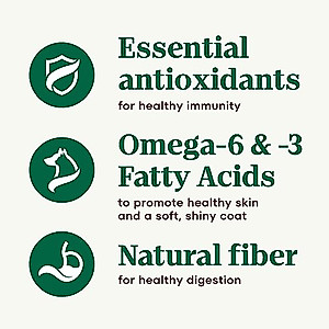 Nutro Natural Choice Adult Small Bites Dry Dog Food, Chicken & Brown Rice Recipe Dog Kibble, 13 lb. Bag