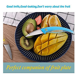 Paring Knife,Dolphin fruit knife,High Carbon Stainless Steel Fruit and Vegetable knife,Blue Transparent soft handle,Ultra Sharp Peeling Knife for Cutting Fruit,Vegetable,2.6-Inch Blade