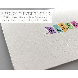 Sugartown Greetings Succulents & Cactus Notecards Set - 24 Blank Succulent Cards with Envelopes & Kraft Seals - Great for Personal & Business Thank You, Thinking of You, Sympathy