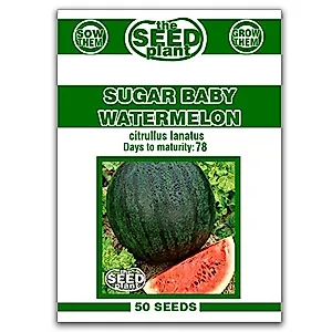 Sugar Baby Watermelon Seeds - 50 Seeds Non-GMO