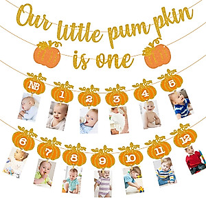 Fall Pumpkin 1st Birthday Photo Banner Autumn Pumpkin Birthday Photo Banner for Newborn to 12 Months Milestone Photograph Bunting Garland for Baby Boy Girl 1st Birthday Party Supplies