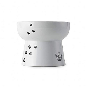 NECOICHI Raised Cat Water Bowl, Elevated, with Measurement Lines, Dishwasher and Microwave Safe (Cat, Extra Tall)