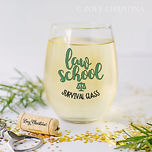 Law School Survival Glass Stemless Wine Glass Gifts for Students and Women 005