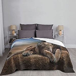 Lion Blanket Lion King Throw Blanket for Adults Moonlight Lion Decor Animal Blanket Super Warm Soft Plush Lightweight Fleece Flannel Blanket Winter Sofa Bedding Blanket Gifts for Kids Women 60"x80"