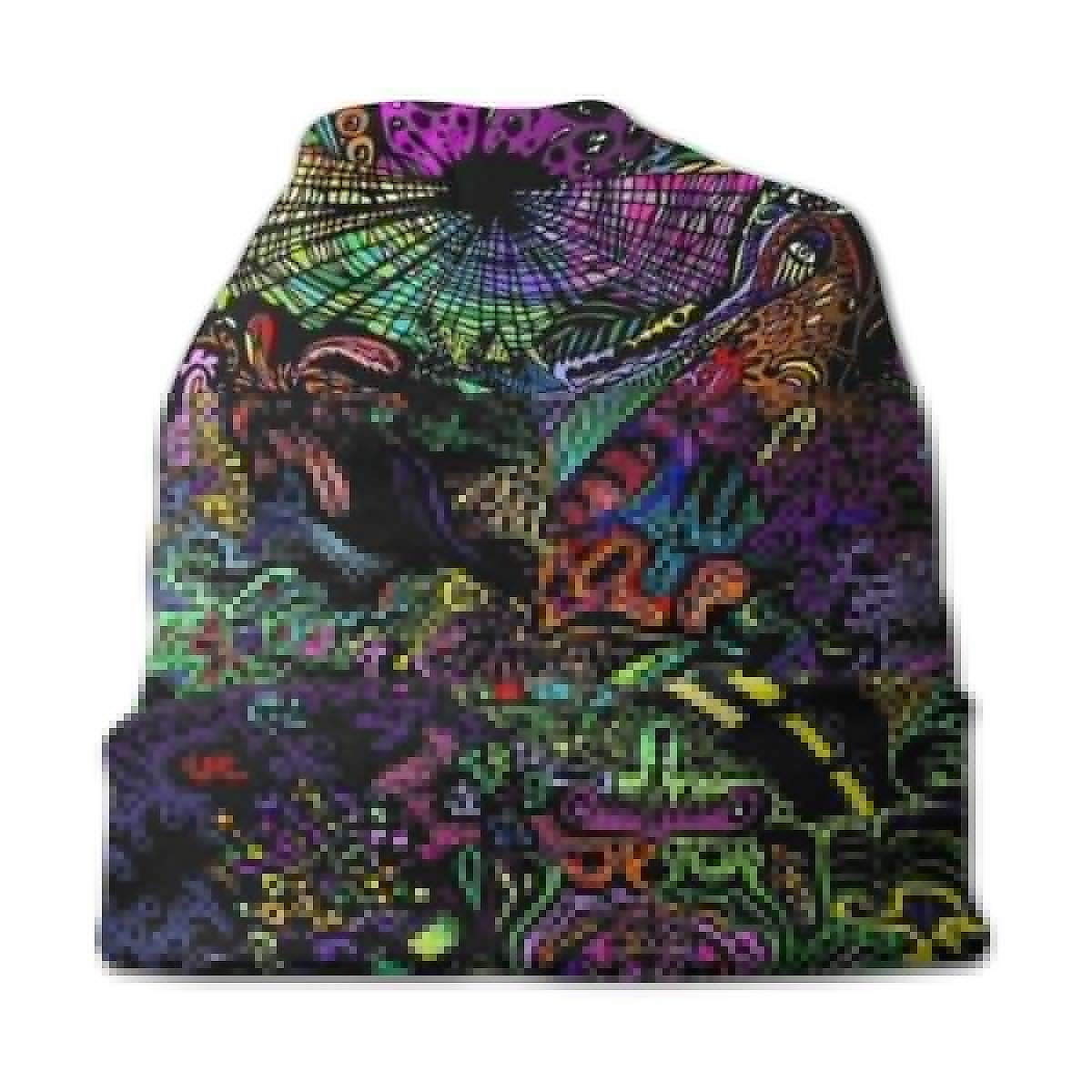 Trippy Psychedelic Art (2) Beanie Men Women Unisex Skull Knit Hat Cap