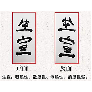 MEGREZ Chinese Japanese Calligraphy Xuan Paper, Rice Paper Sumi Calligraphy Paper for Calligraphy Brush Ink Writing, Painting without Grids 100 Sheets/Bag,13.4X 26.7inch, Sheng (Raw) Xuan