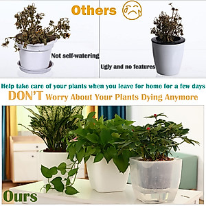 6-Pack Clear Self Watering Planters for Indoor Plants 7" Large African Violet Plant Pots Plastic Wick Flower Pots with Water Injection Hole, Orchid Plant Pot Set, Clear