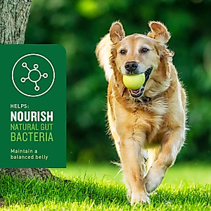 VetIQ Probiotic Supplement for Dogs, Digestive Support for Dogs, Nourishes Gut Bacteria and Supports Bowel Function, Hickory Smoke Flavor, Made in The USA, 60 Count