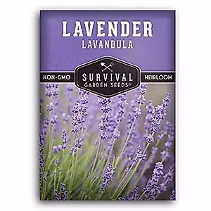 Lavender Seed for Planting - 1 Packet with Instructions to Plant and Grow Edible & Medicinal Lavandula Herbs in Your Home Vegetable Garden - Non-GMO Heirloom Variety - Survival Garden Seeds