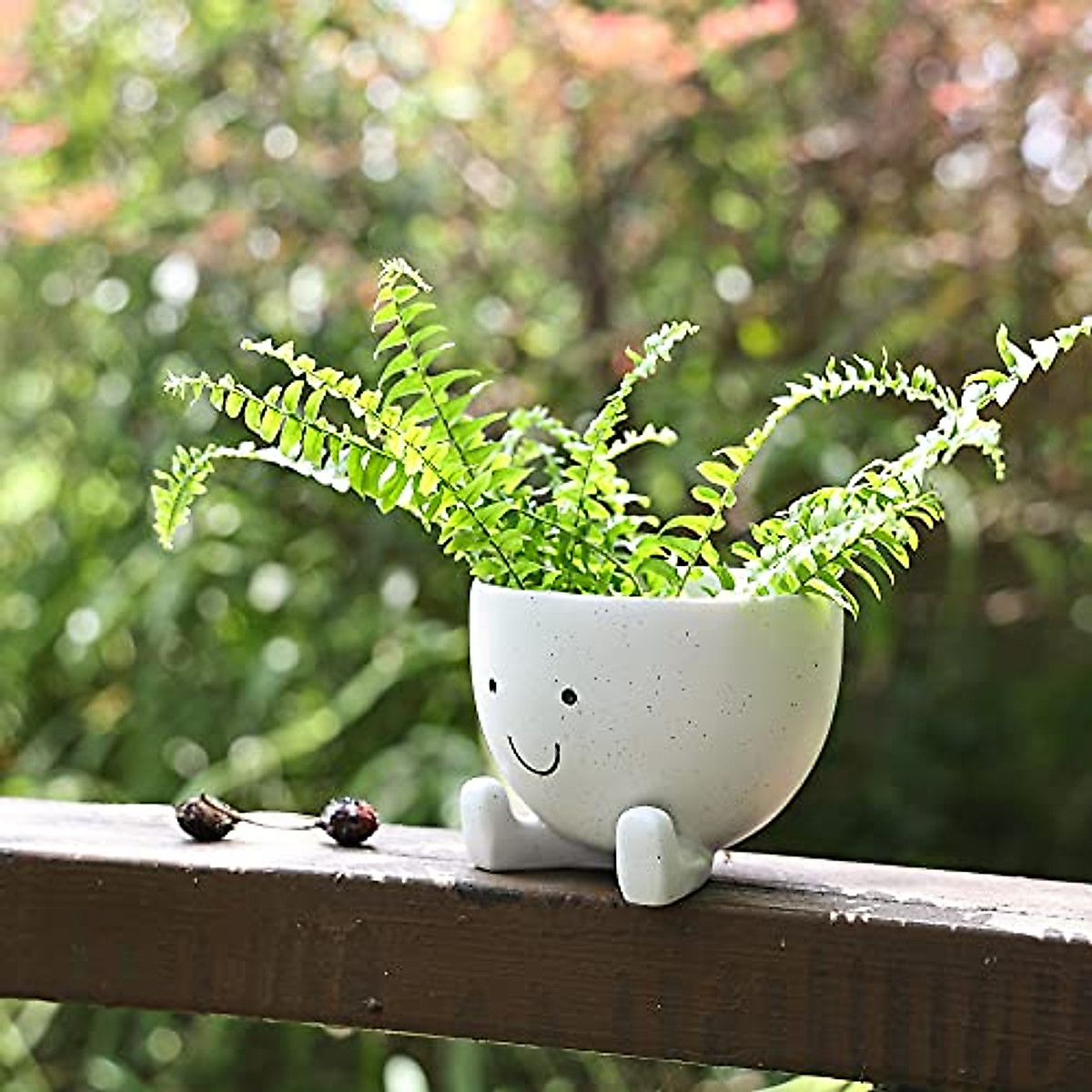 AIMEBBY Face Flower Pot Face Head Planter for Indoor Plants Succulent Planters with Drainage Hole Resin Planter 4 Inches