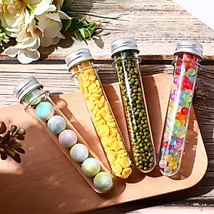 50 Pcs Test Tubes 40 ml Plastic Test Tubes with Screw Lids 1.1 x 5.5 Inch/ 28 x 140 mm Clear Candy Tubes Vials Storage Tubes Container for Sample Powder Seed Bead Gift Science Party (Silver)