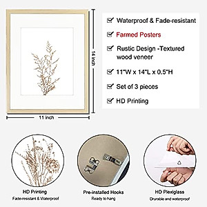 Botanical Wall Art Framed, Boho Wall Art Farmhouse Decor, Rustic Plant Wall Pictures Paintings, Modern Minimalist Boho Theme Art Prints Ready To Hang for Living Room Bedroom Bathroom Kitchen Boho Room Decor (11x14Inch,Framed Wall Art)