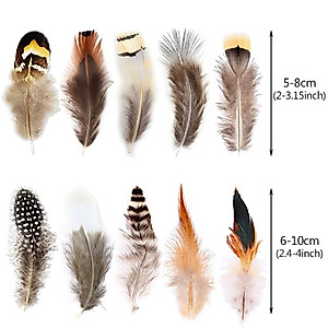 180pcs 6 Style Natural Feathers Assorted Mixed Feathers for Dream Catcher Crafts Decoration (6 Styles/180 Pcs)