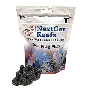 NextGen Reefs® 1" Ceramic Hawaiian Black Coral Frag Plugs 25pc