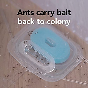 Raid Max Liquid Ant Bat; Kills Ants Where They Breed, For Indoor and Outdoor Use; 4 Bait Stations
