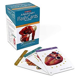 Anatomy Flash Cards (Barron's Test Prep)