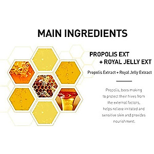Dr.Ceuracle Royal Vita Propolis 33 Cream (50ml / 1.69 fl. oz.) - Ultimate Glow and Nourish Cream for Radiant Skin, Vitamin, Propolis, Royal Jelly Extract
