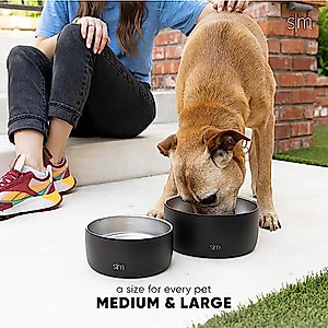 Simple Modern Stainless Steel Pet Water Bowl for Dogs & Cats | Reusable Insulated Stainless Steel Food Bowls for Dog Cat | No Tip No Slip BPA Free | Bentley Collection | Medium (32oz) | Blush