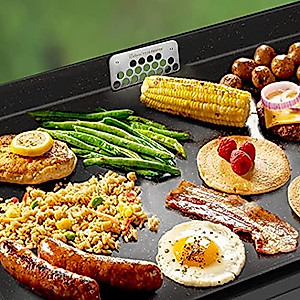 Salbree Food Fighter Mesh Screen Grease Gate Blocks Food from Falling into Rear Grease Trap Cup Tray & Compatible with All Blackstone Griddle Accessories Goalie, Universal Fit All Black Stone Grills