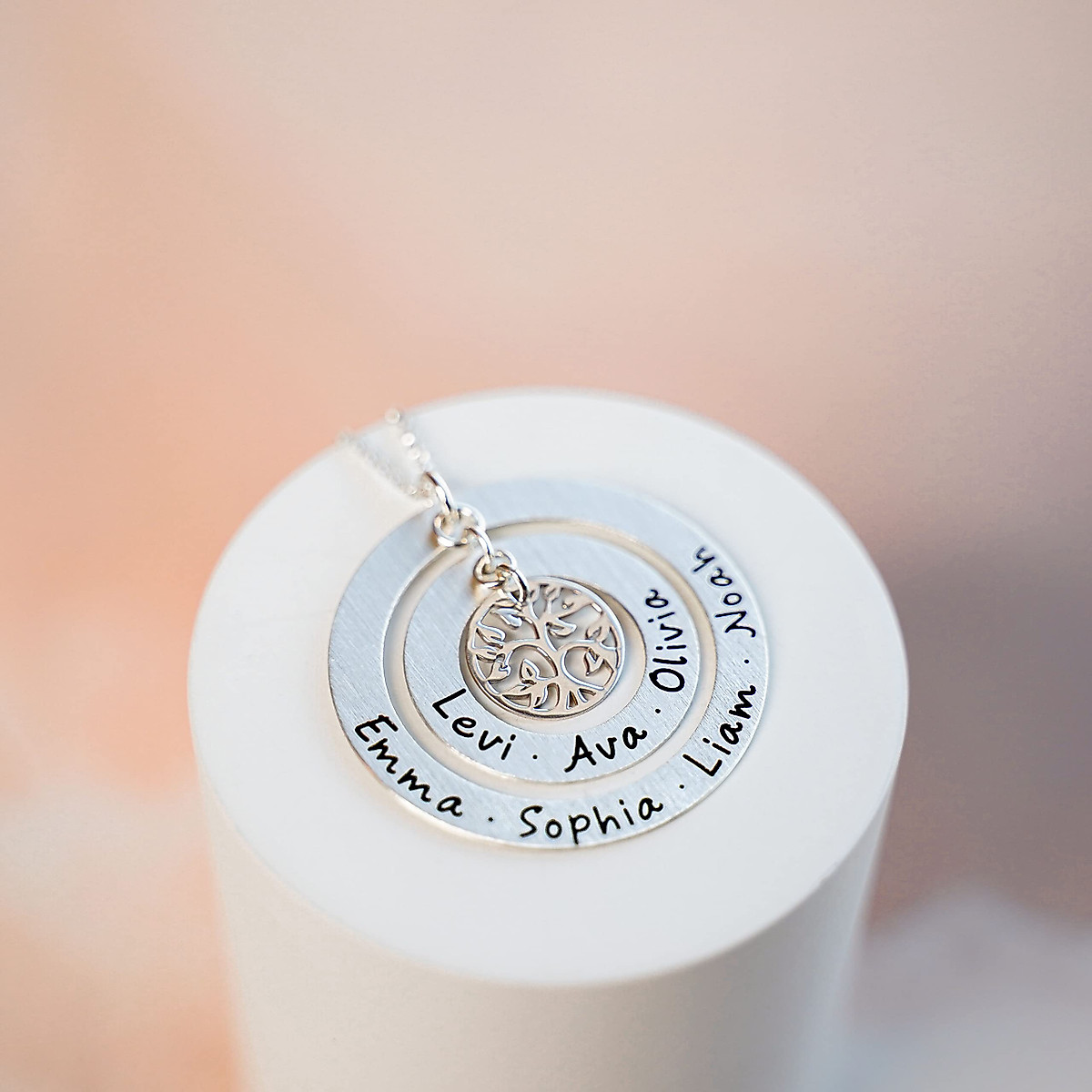 AJ's Collection Personalized My Family Tree Sterling Silver Grandma Necklace. Customize Round Charms. Choice of Sterling Silver Chain. Gift Idea for Grandmother and Moms. Family Tree.