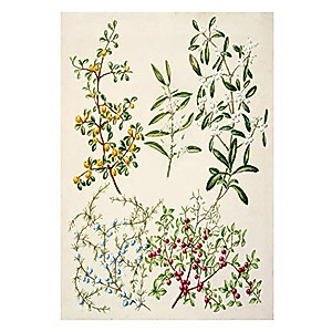 Ink Inc. Botanical Prints Floral Wildflowers Wall Art Prints - Set of 9-5x7- Matte - Unframed