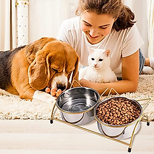 Trosetry Raised Cat Bowls, Double Stainless Steel Cat Food Bowls Non-Slip Elevated Pet Feeder with 15°Tilted Neck Protective Bowl for Puppy Cats and Small Dogs Food and Water Feeding