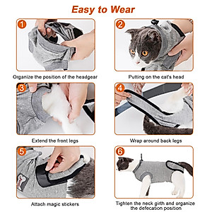 DogLemi Cat Surgery Recovery Suit Breathable Professional Cat Recovery Clothing for Surgical Abdominal Wounds After Surgery Wear Pajama Suit E-Collar Alternative Skin Diseases Protection (M)