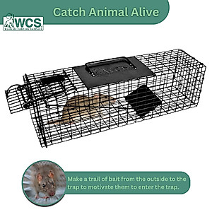 Special Squirrel Standard Cage Trap - Heavy Duty Black Mesh Snare - Safe and Effective Squirrel Control for Commercial and Residential Use - Great for Barns, Garages & Sheds