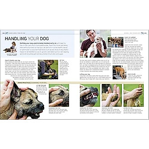 The Complete Dog Breed Book, New Edition (DK Definitive Pet Breed Guides)