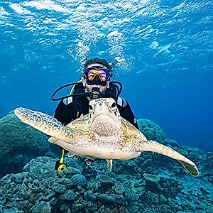 TUSA M-1007 Paragon S Scuba Diving Mask, Fishtail Blue