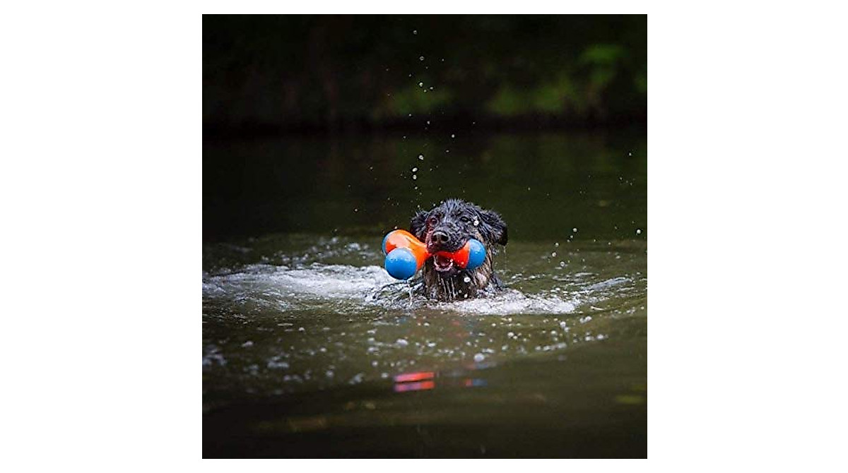 Chuckit! Amphibious Tri-Bumper Dog Toy for Water and Land Play