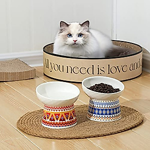 YauYik Raised Cat Food Bowls - Ceramic Tilted Cat Food and Water Bowl Set - Elevated Pet Feeding Bowls Stress Free for Kitten Elder Cats Small Dogs, Anti Vomiting, Neck Protection, Set of 2