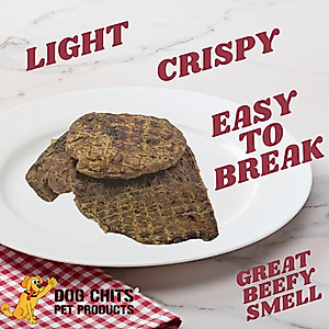 Dog Chits Beef Lung Fillets Dog and Puppy Treats - New! - All Natural Grain and Chemical Free Training Chews - High Protein and Low Fat - Supports Dental Health - Made in The USA - Large 10 oz Bag