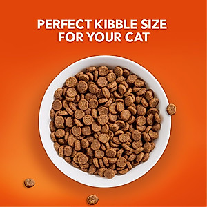 IAMS PROACTIVE HEALTH Healthy Senior Dry Cat Food with Chicken Cat Kibble, 7 lb. Bag