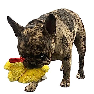 Chicken and Egg Crinkle Squeaker Pack Fun Durable Interactive Fetch Toys for Puppies Dogs Small Amimals