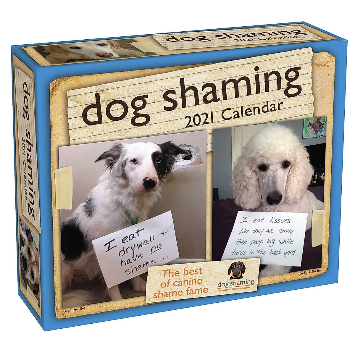 Dog Shaming 2021 Day-to-Day Calendar