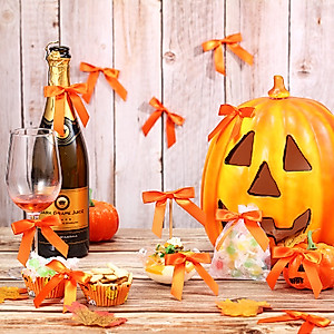 100 Pieces Twist Bow Satin Twist Tie Bows 5/8 Inch Bows for Halloween Wedding Crafts Wrapping Small Bows Candy Treat Bags Decoration(Torrid Orange,5/8 Inch)