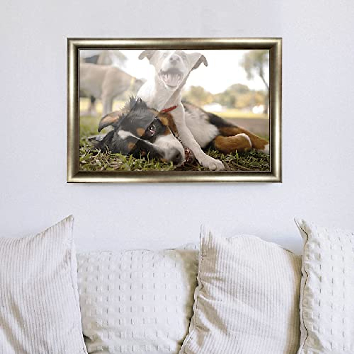 22x31 Frame Silver Real Wood Picture Frame Width 1.25 Inches | Interior Frame Depth 0.5 Inches | Florian Minimalist Photo Frame Complete with UV Acrylic, Foam Board Backing & Hanging Hardware