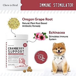 Digestive Enzymes and Probiotics and Cranberry UTI Support for Dogs - Supports Healthy Digestive Tract, Helps Nutrient Absorption - Healthy Urinary Tract and Bladder Function - 120 Soft Chews Each