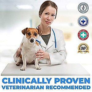 Forticept Dog Ear Infection Treatment, Dog Ear Cleaner, Itch Relief Cat and Dog Ear Wash Flush 8 oz